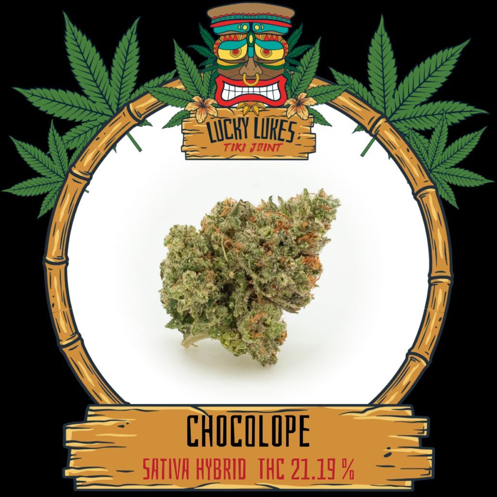Chocolope Strain - Lucky Lukes Tiki Joint